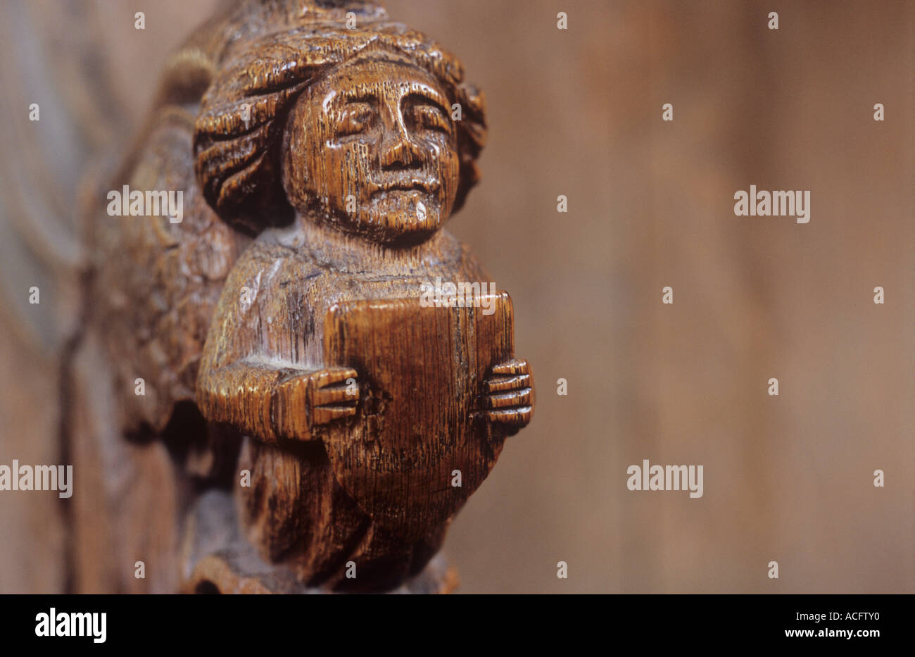 Schild enthalten -Fotos und -Bildmaterial in hoher Auflösung – Alamy