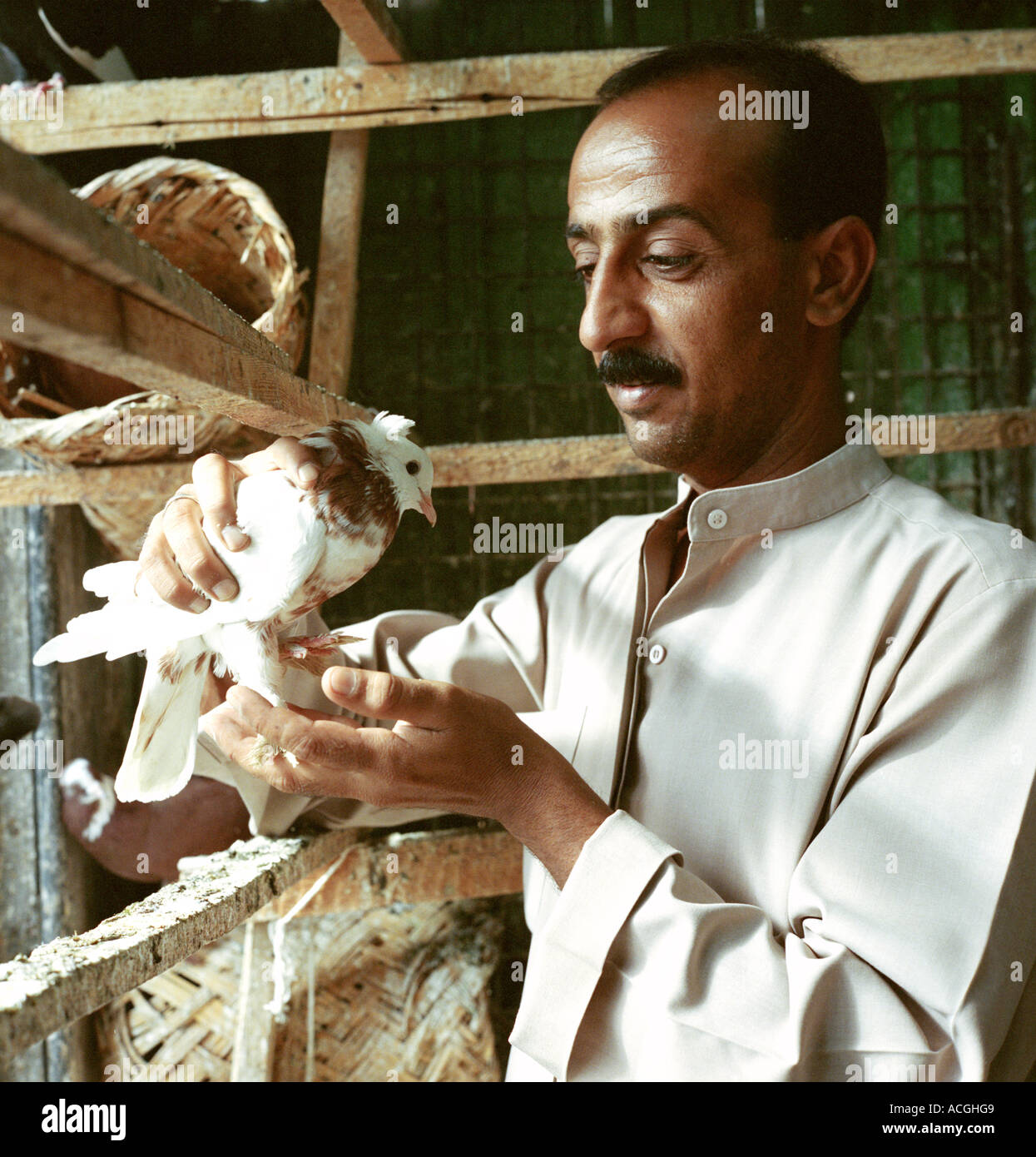 Pigeon fancier -Fotos und -Bildmaterial in hoher Auflösung – Alamy