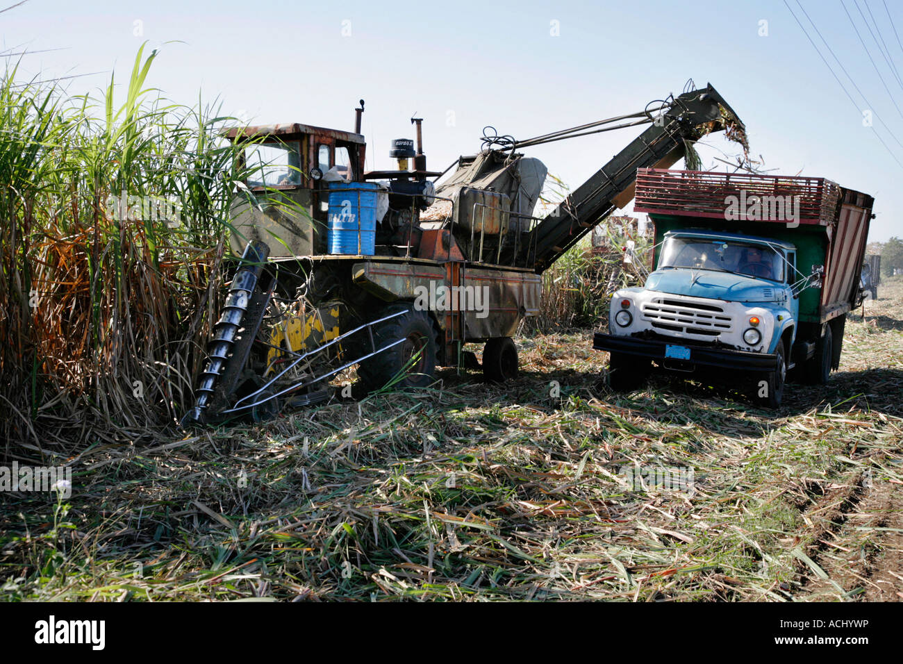 Sugarcane Cuba Stockfotos und -bilder Kaufen - Alamy
