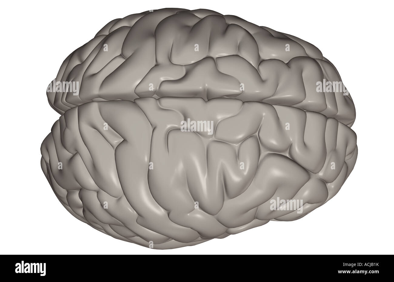 Motorischer cortex -Fotos und -Bildmaterial in hoher Auflösung – Alamy