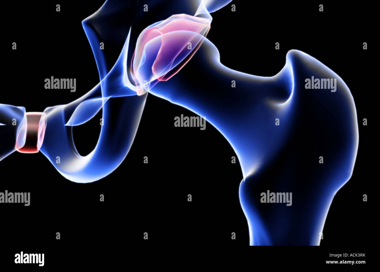 Die Knochen der Hüfte Stockfotografie - Alamy