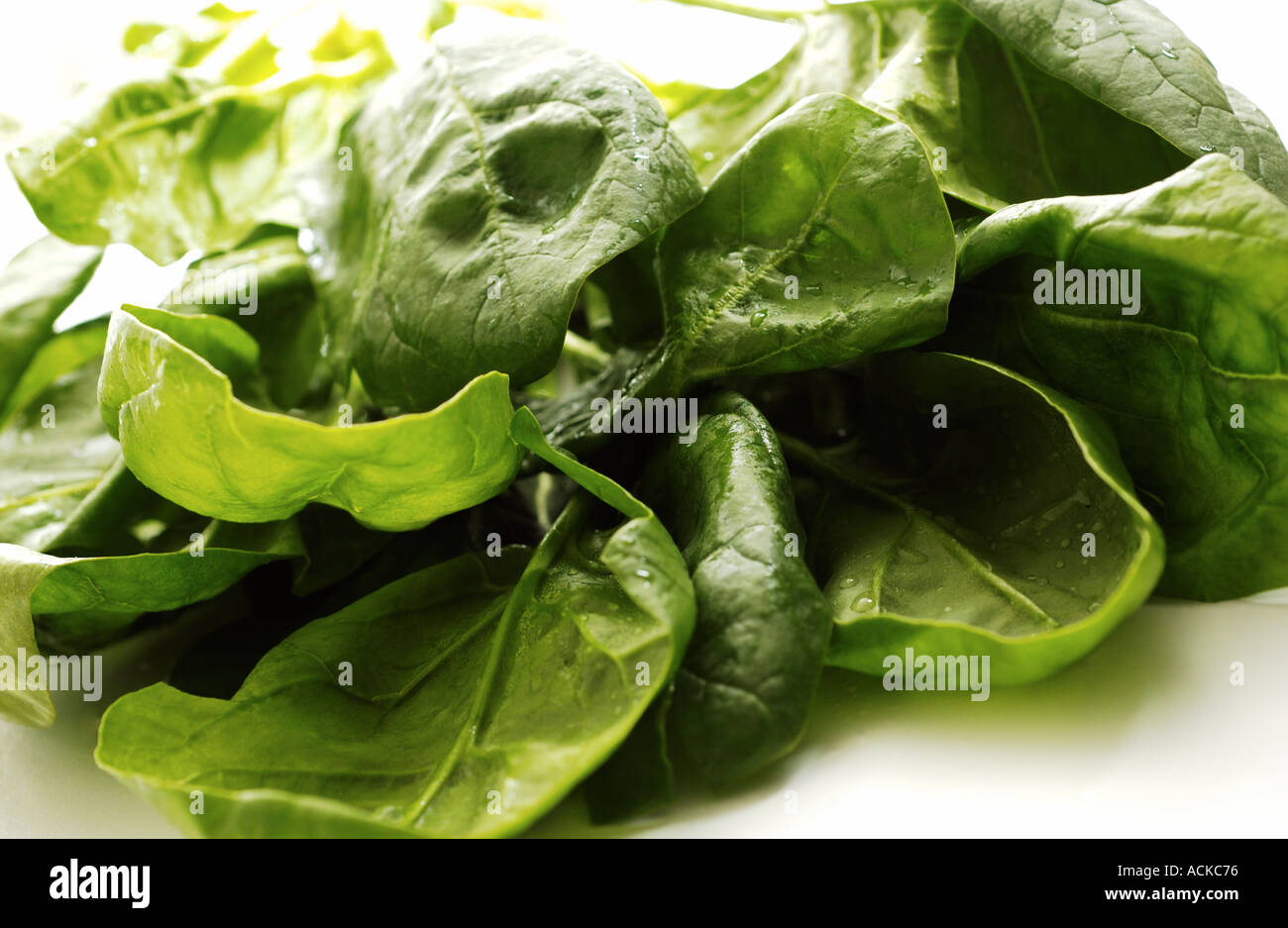 Popeye spinat -Fotos und -Bildmaterial in hoher Auflösung – Alamy