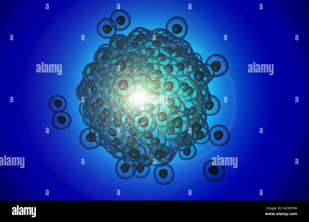 Ovum human -Fotos und -Bildmaterial in hoher Auflösung – Alamy