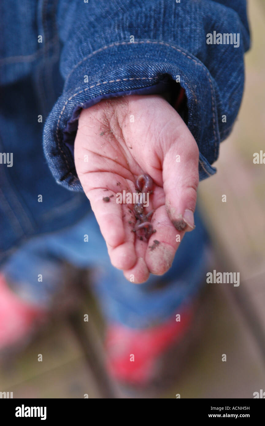 Erde wurm hand -Fotos und -Bildmaterial in hoher Auflösung – Alamy