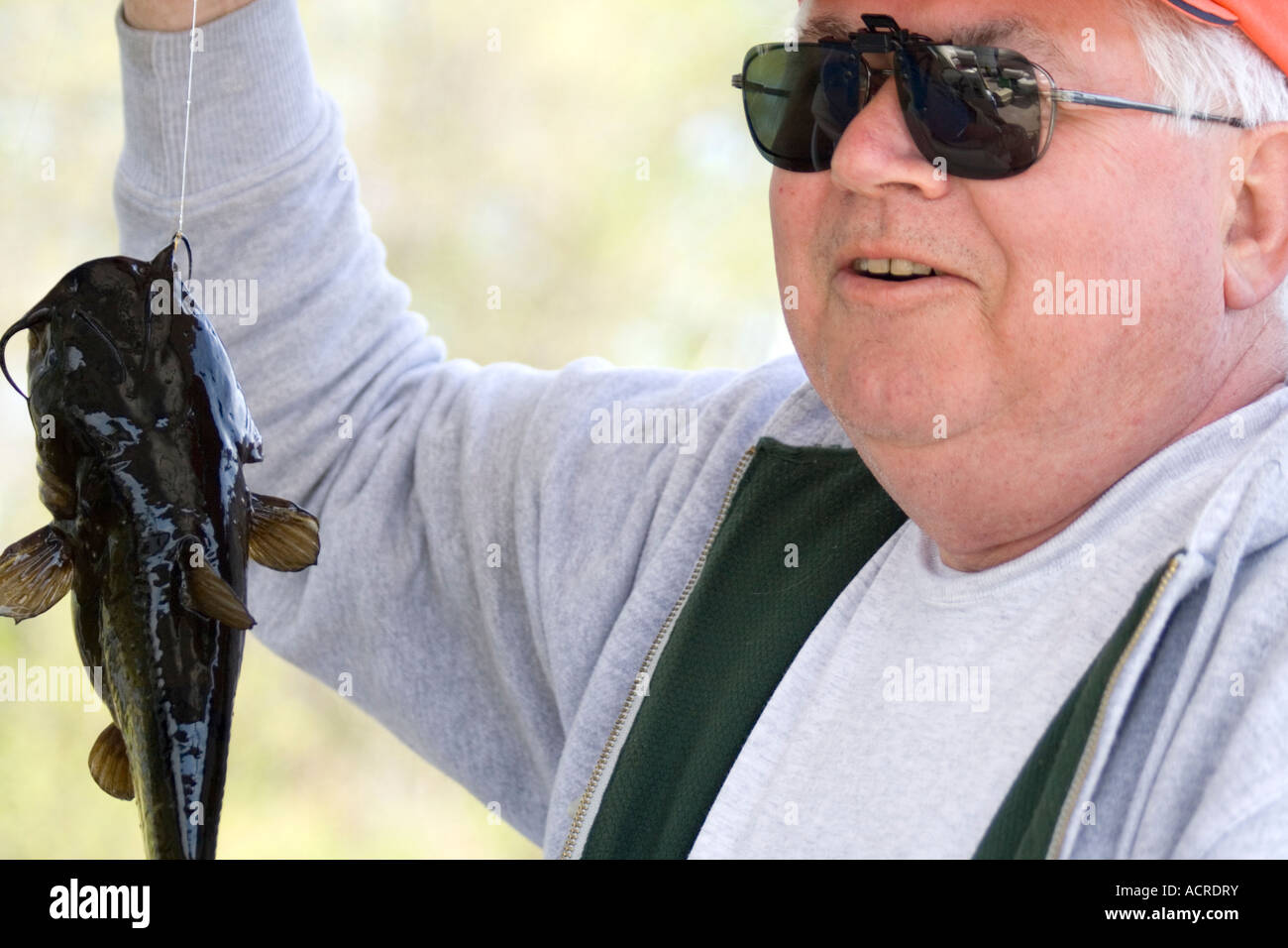 Angler fischkopf -Fotos und -Bildmaterial in hoher Auflösung – Alamy