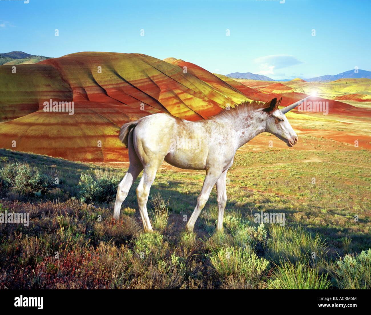 Unicorn horn -Fotos und -Bildmaterial in hoher Auflösung – Alamy