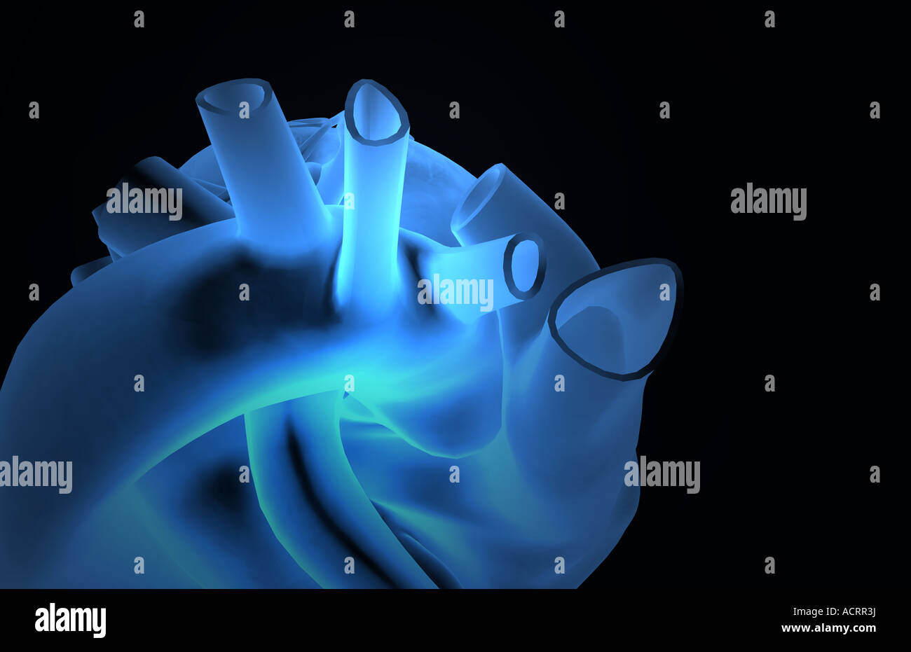 Aortic arch -Fotos und -Bildmaterial in hoher Auflösung – Alamy