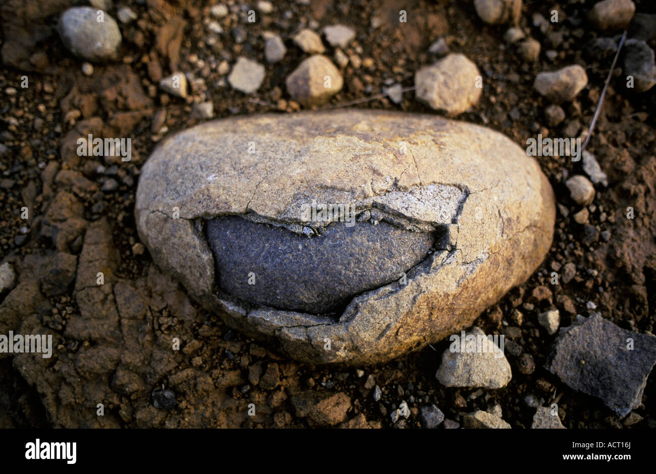 Peeling bereich -Fotos und -Bildmaterial in hoher Auflösung – Alamy