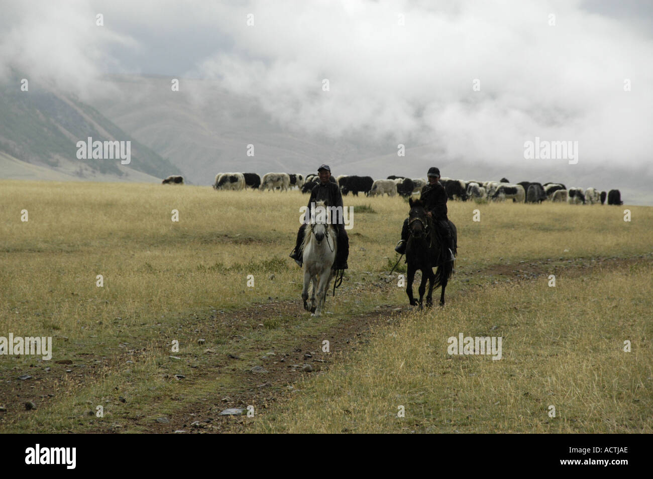 Hintergrund zwei reiter -Fotos und -Bildmaterial in hoher Auflösung – Alamy