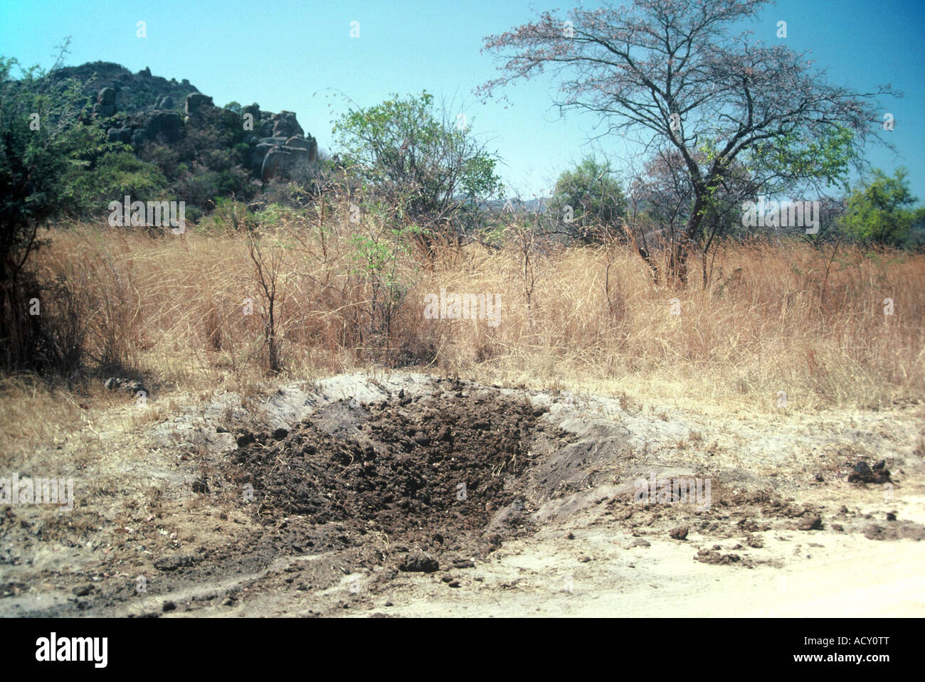 Dung midden -Fotos und -Bildmaterial in hoher Auflösung – Alamy