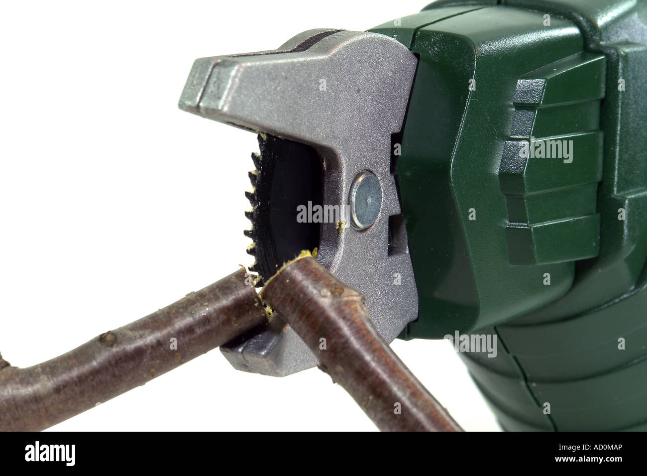 Aste aeste -Fotos und -Bildmaterial in hoher Auflösung – Alamy