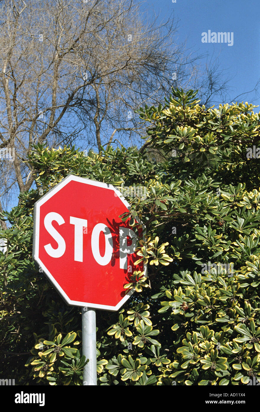 Cartello stradale triangolo rosso -Fotos und -Bildmaterial in hoher ...