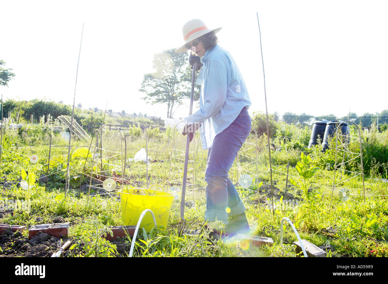 Die zuteilung -Fotos und -Bildmaterial in hoher Auflösung – Alamy