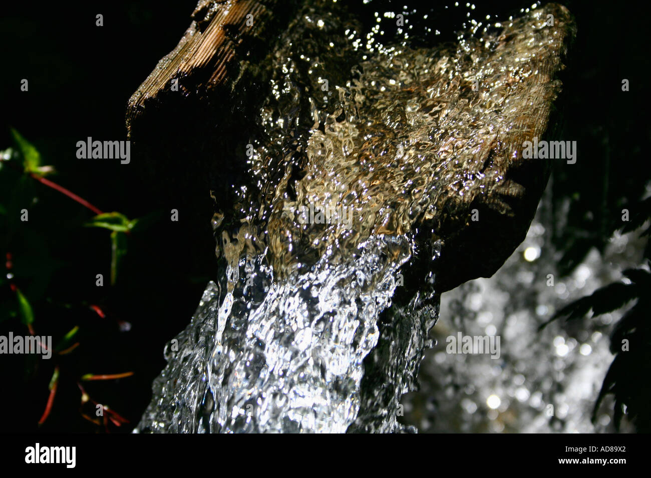 Frisches Quellwasser Bei Huben Laengenfeld Ötztaler Alpen Tirol ...