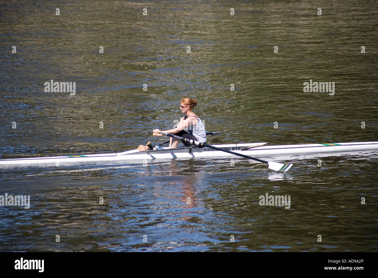 Englischer ruderer -Fotos und -Bildmaterial in hoher Auflösung – Alamy