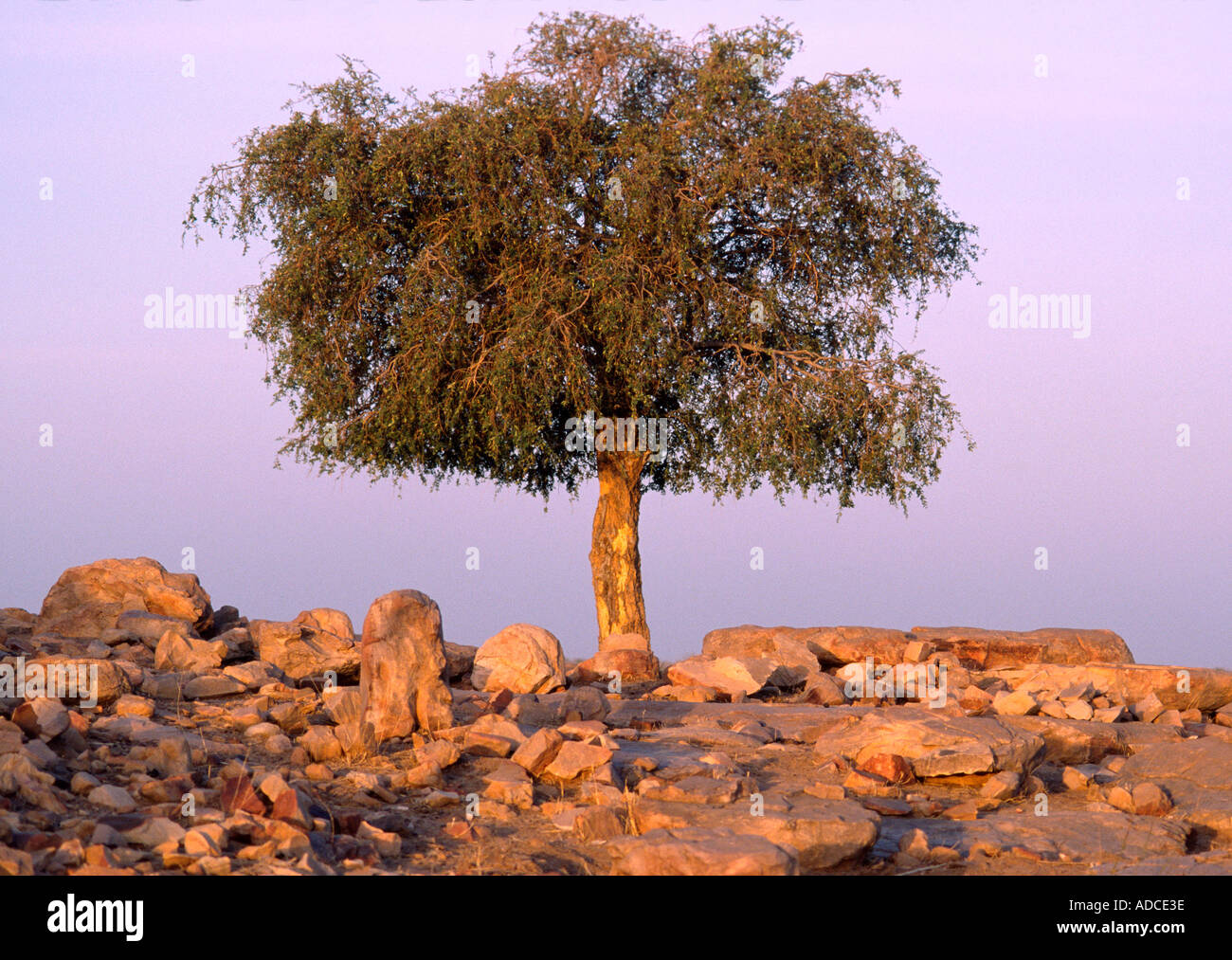 Sahel Landscape Stockfotos und -bilder Kaufen - Seite 2 - Alamy