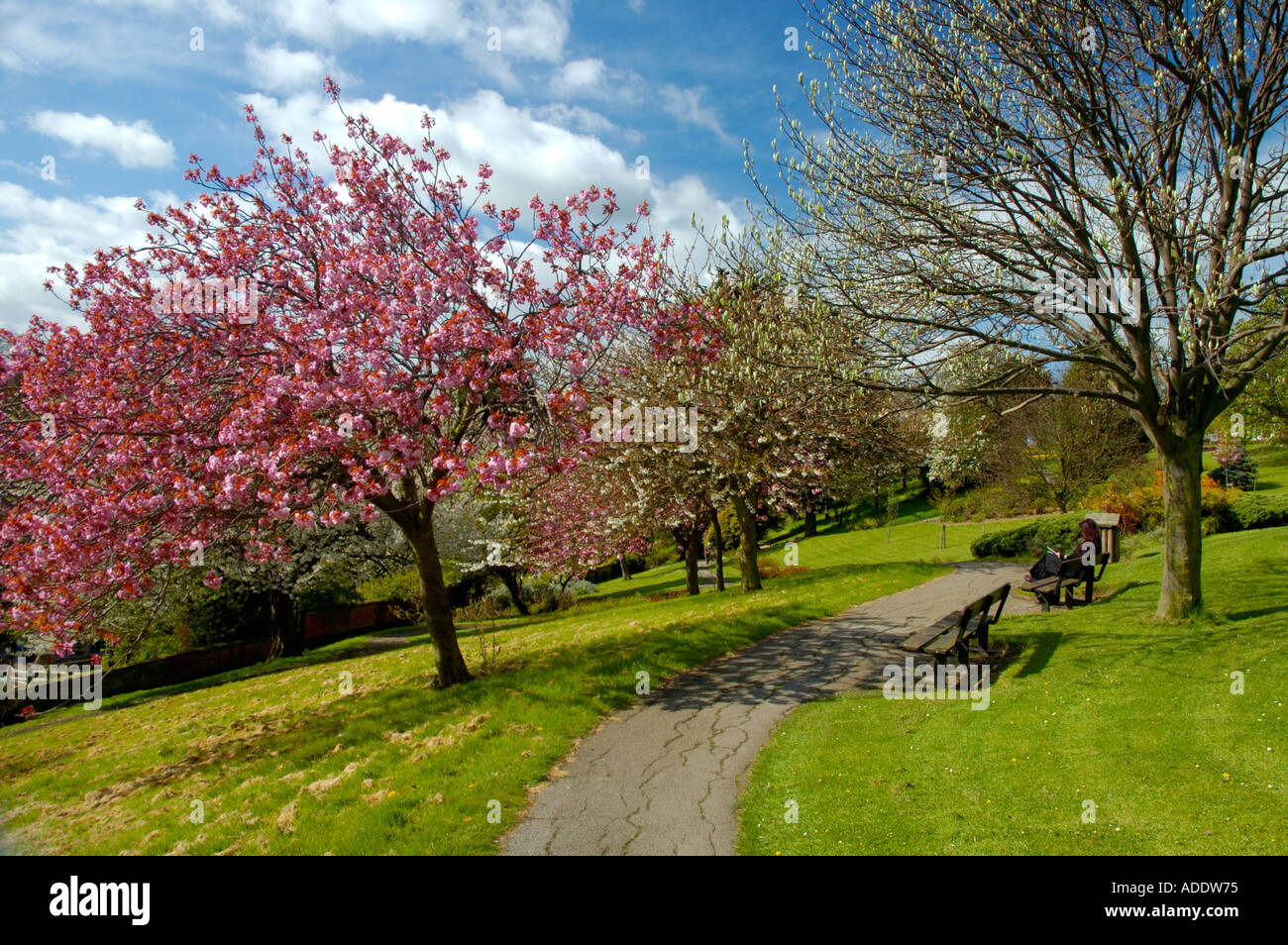 Pannett park -Fotos und -Bildmaterial in hoher Auflösung – Alamy