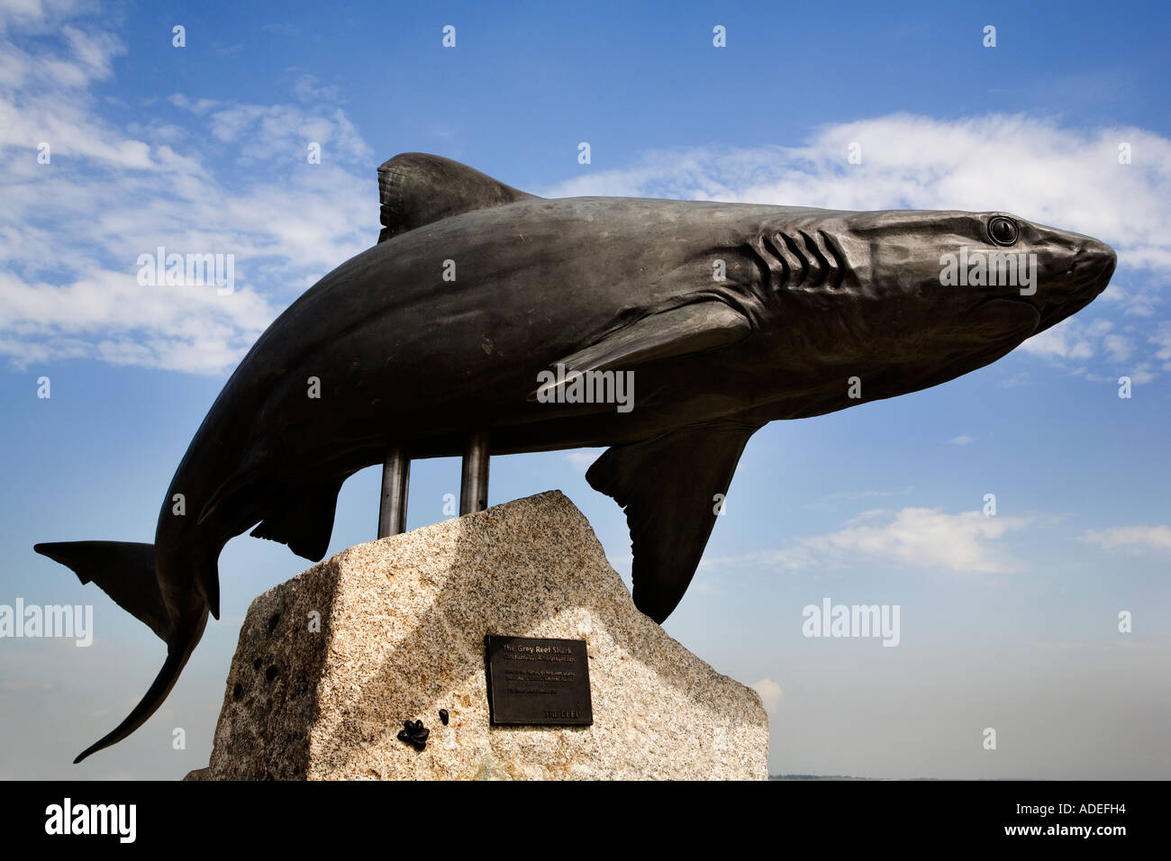 Graue Riffhaie Shark Statue in der Tiefe in Hull East Yorkshire England ...