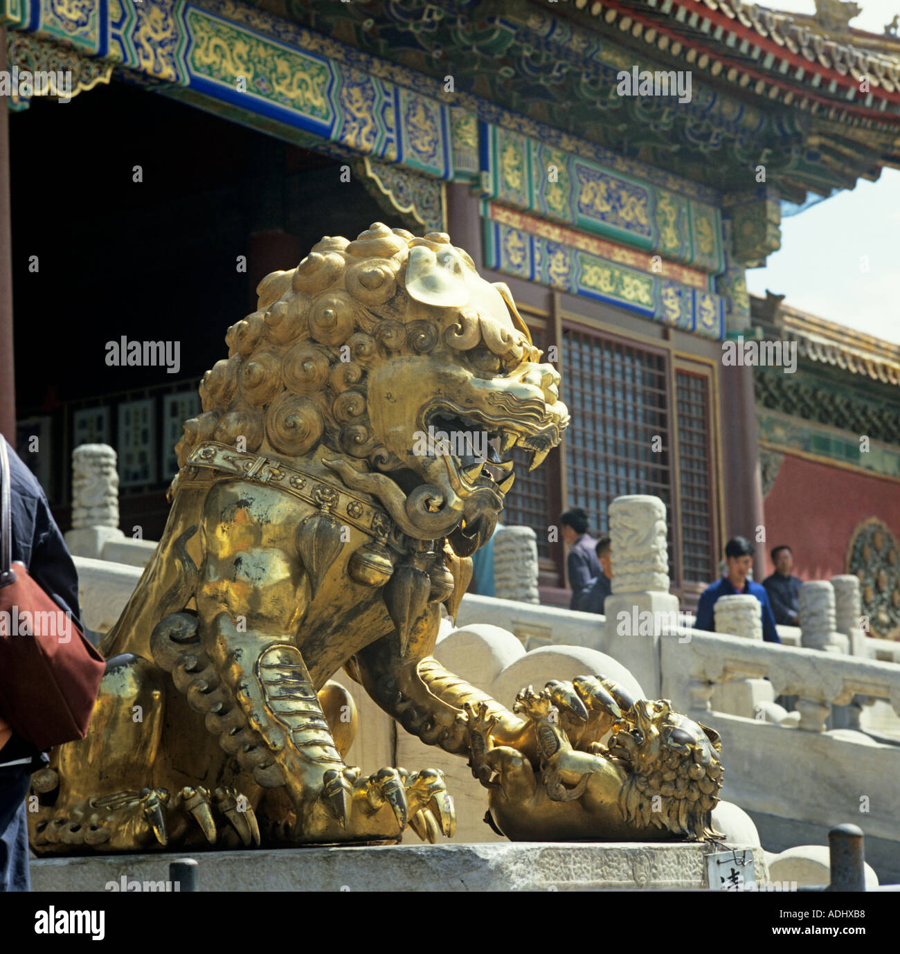 Lion dragon -Fotos und -Bildmaterial in hoher Auflösung – Alamy