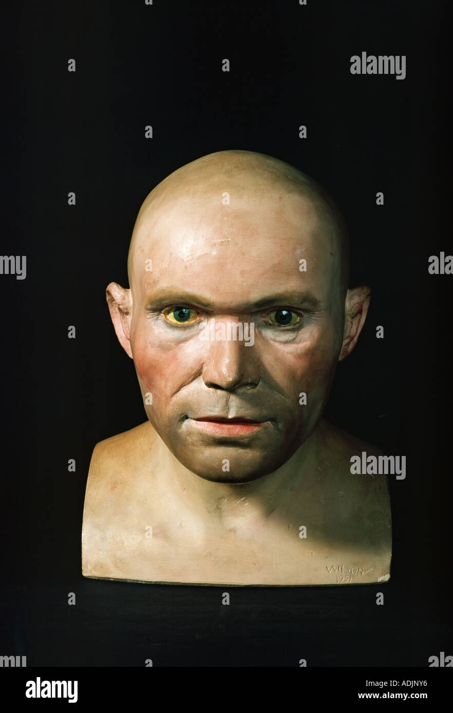 Cro magnon man -Fotos und -Bildmaterial in hoher Auflösung – Alamy