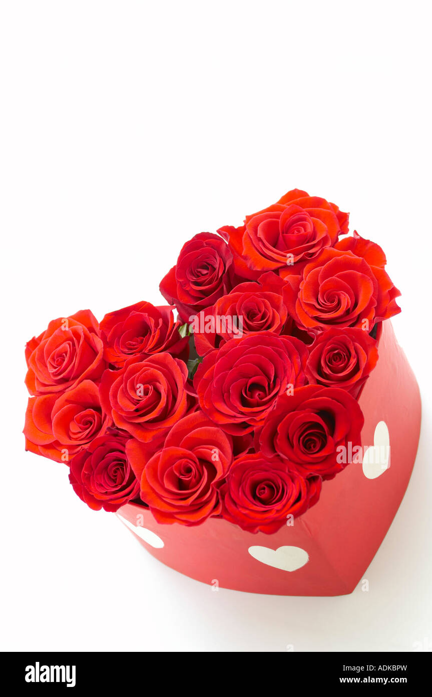 Herz einer rose -Fotos und -Bildmaterial in hoher Auflösung – Alamy