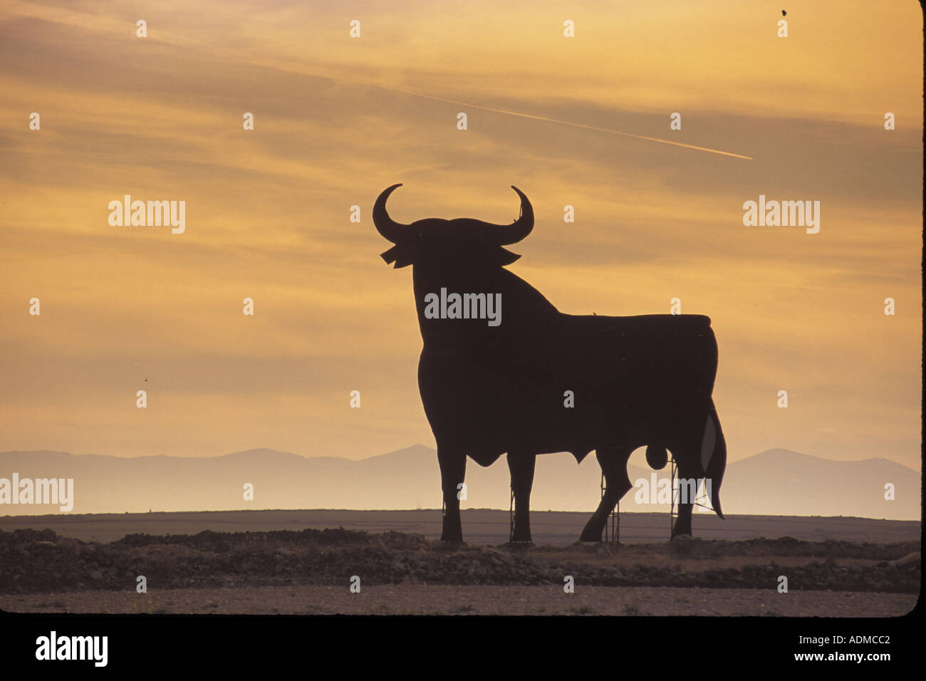 Osborne Stier Straße Zeichen La Muela Saragossa Aragon Spanien Tier ...