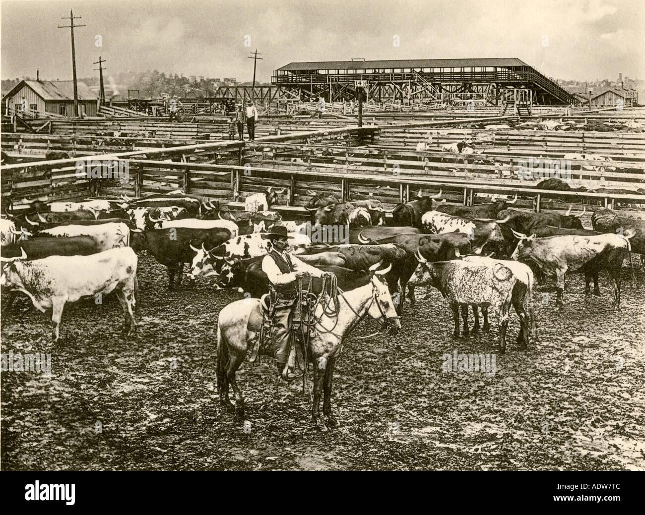 Feedlot Usa Stockfotos und -bilder Kaufen - Seite 2 - Alamy