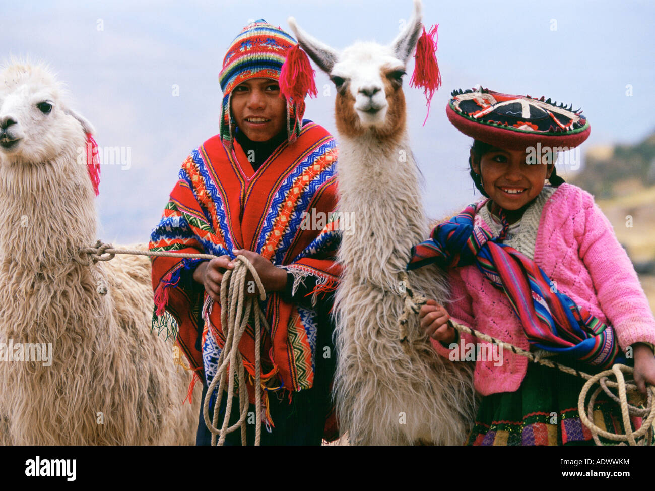 Peruanische Kinder mit Lamas Peru Südamerika Stockfotografie - Alamy