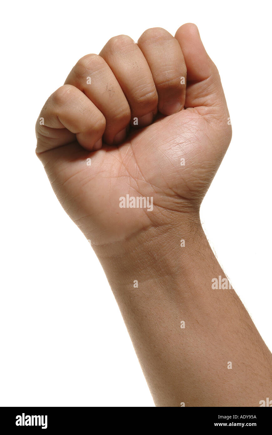 Hand hand Finger Finger Handgelenk Daumen Daumen Nägel Lebensader weiße ...