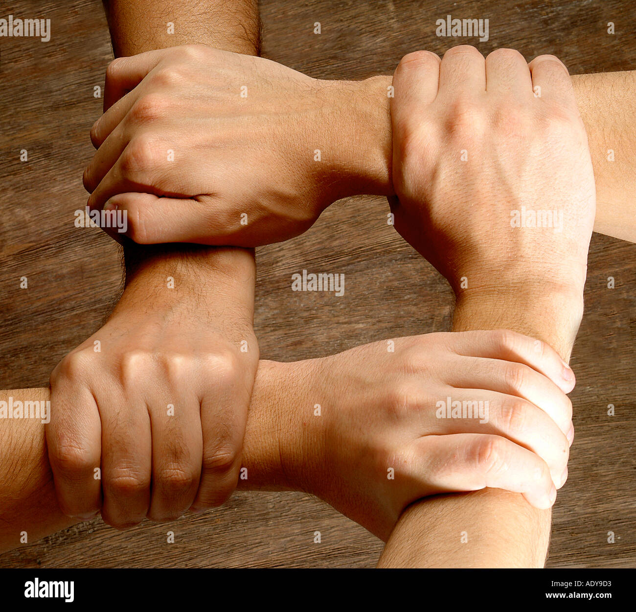 Hand Hand Hände Finger vier Gruppe halten halten statt greifen Grabing ...