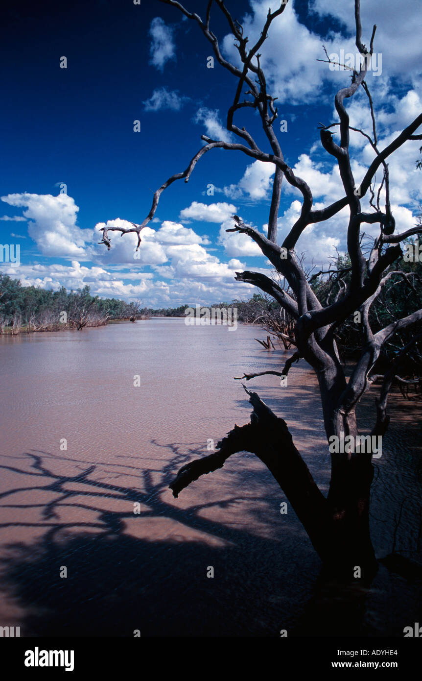 Warrego river -Fotos und -Bildmaterial in hoher Auflösung – Alamy