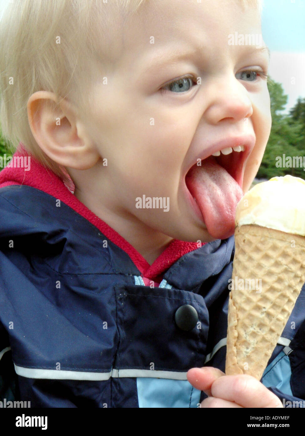 Gieriger kleiner junge -Fotos und -Bildmaterial in hoher Auflösung – Alamy