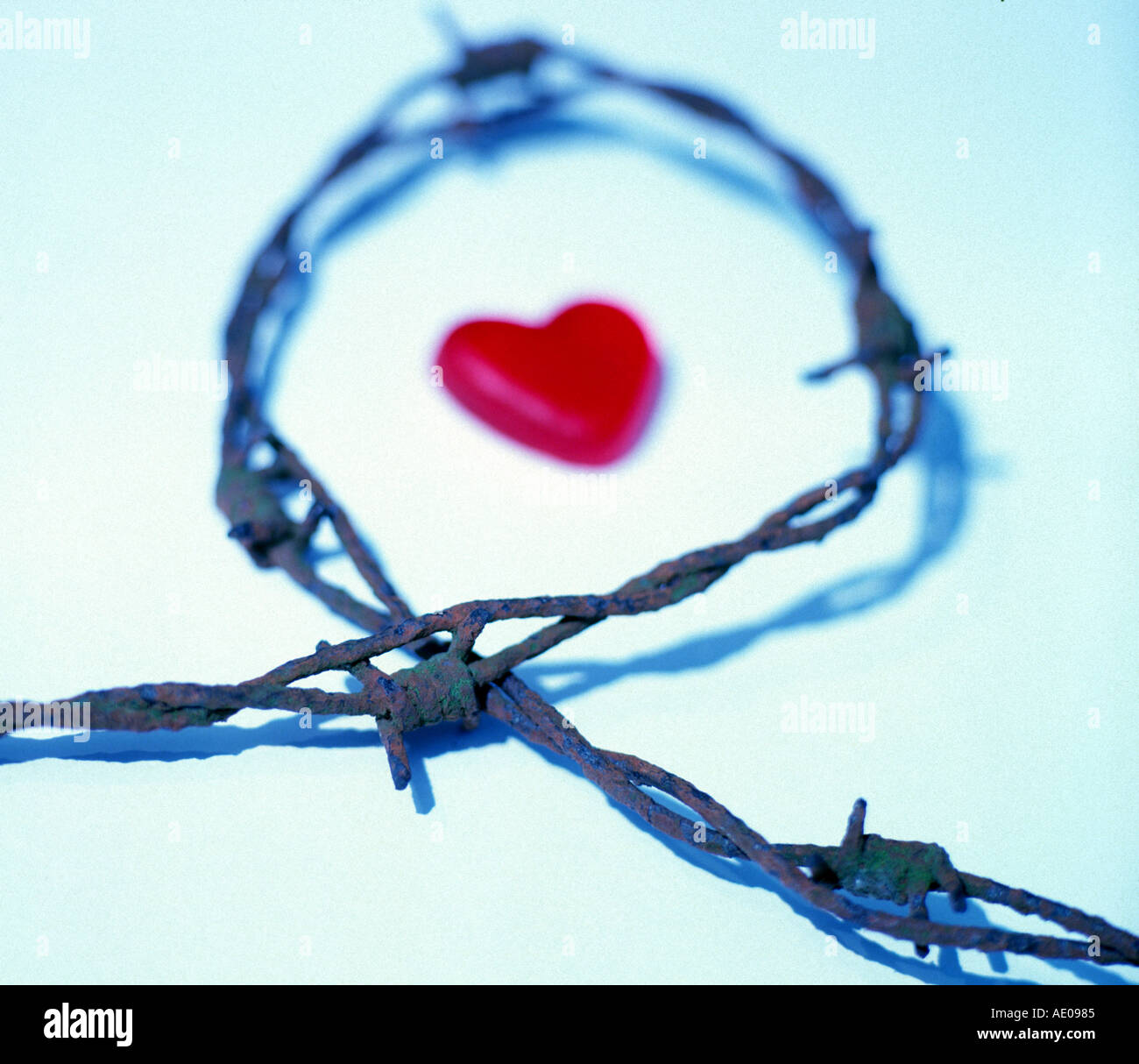 Gefangene liebe -Fotos und -Bildmaterial in hoher Auflösung – Alamy