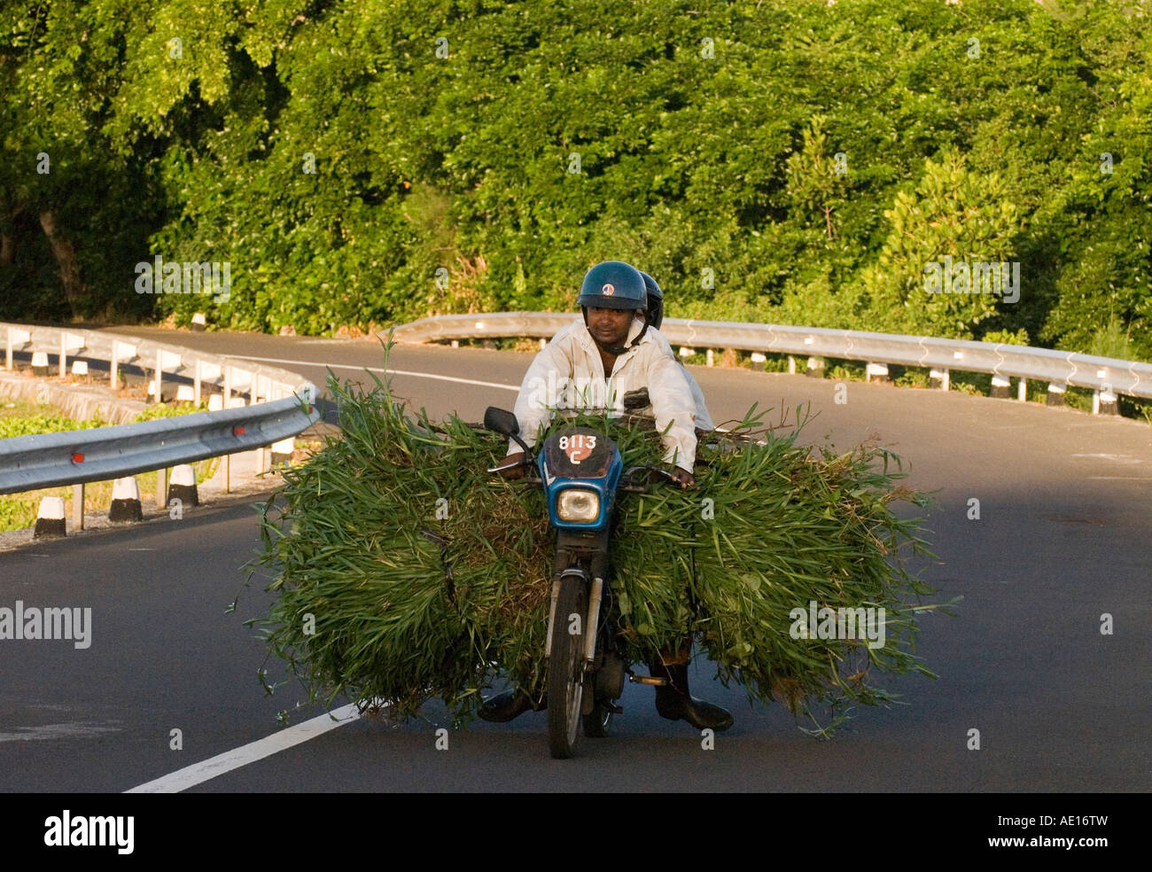 Zuckerrohr fahrt -Fotos und -Bildmaterial in hoher Auflösung – Alamy