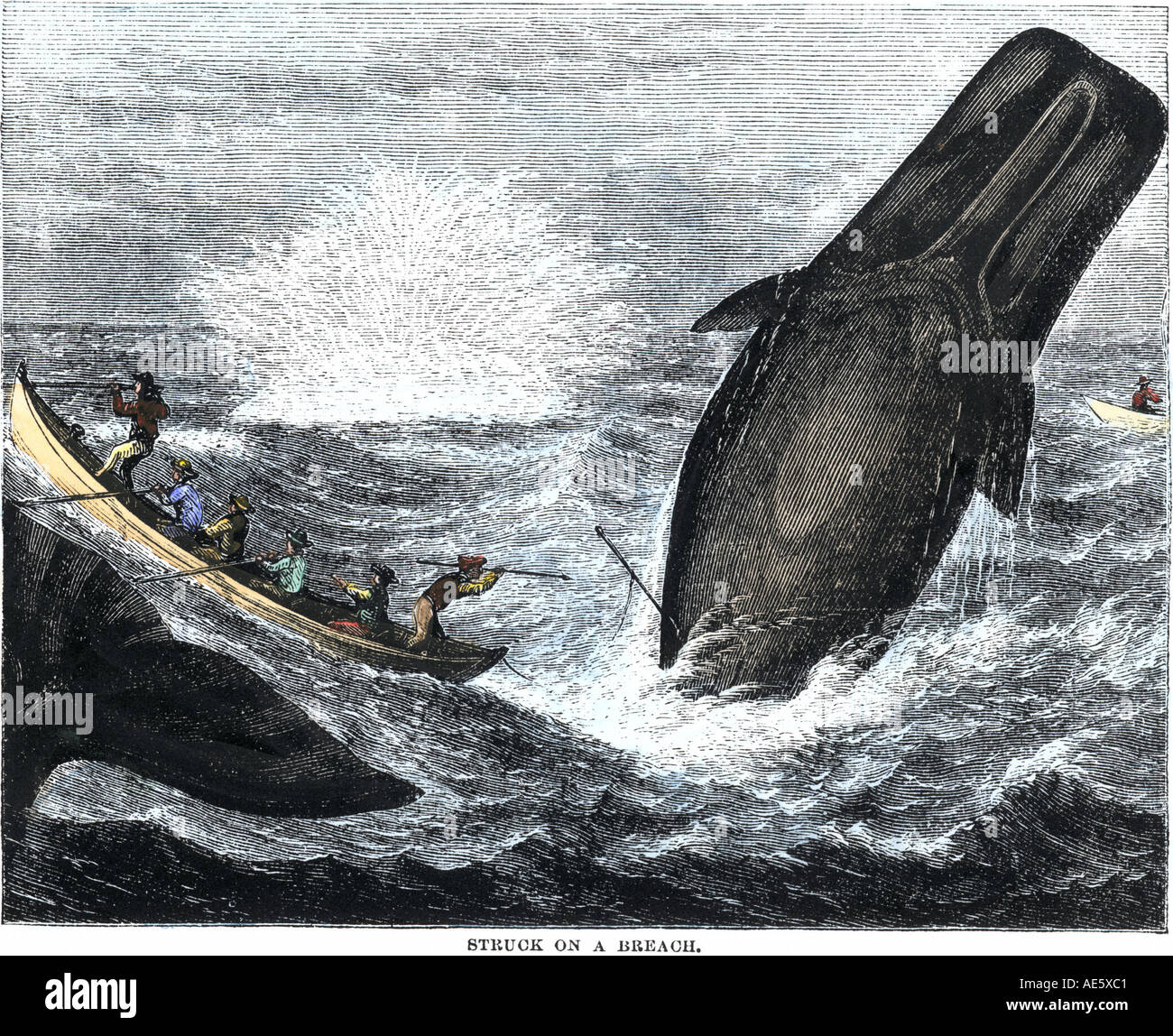 Harpoon 19th century -Fotos und -Bildmaterial in hoher Auflösung – Alamy