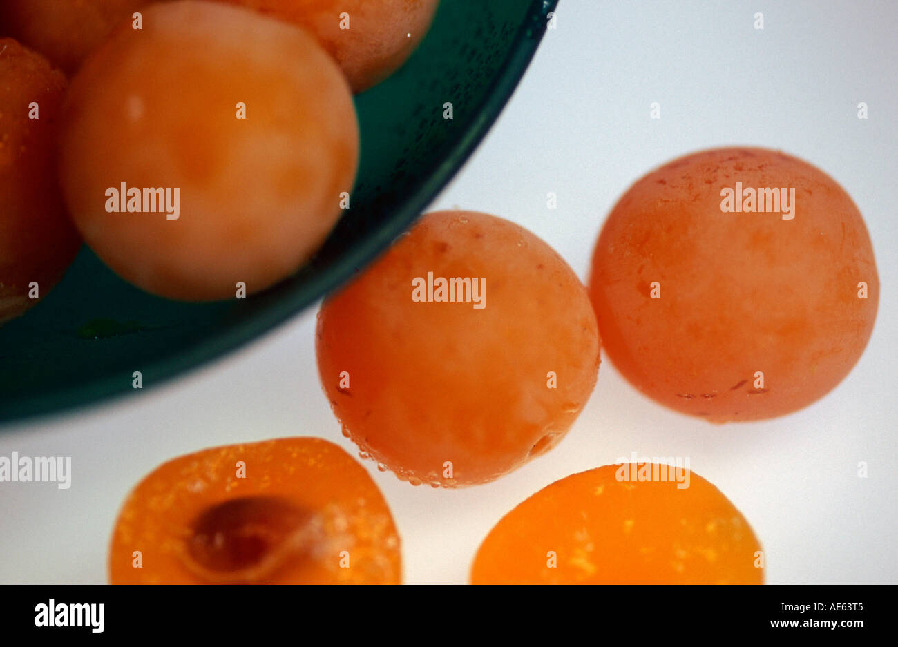 Prunus domestica var syriaca Stockfotos und -bilder Kaufen - Alamy