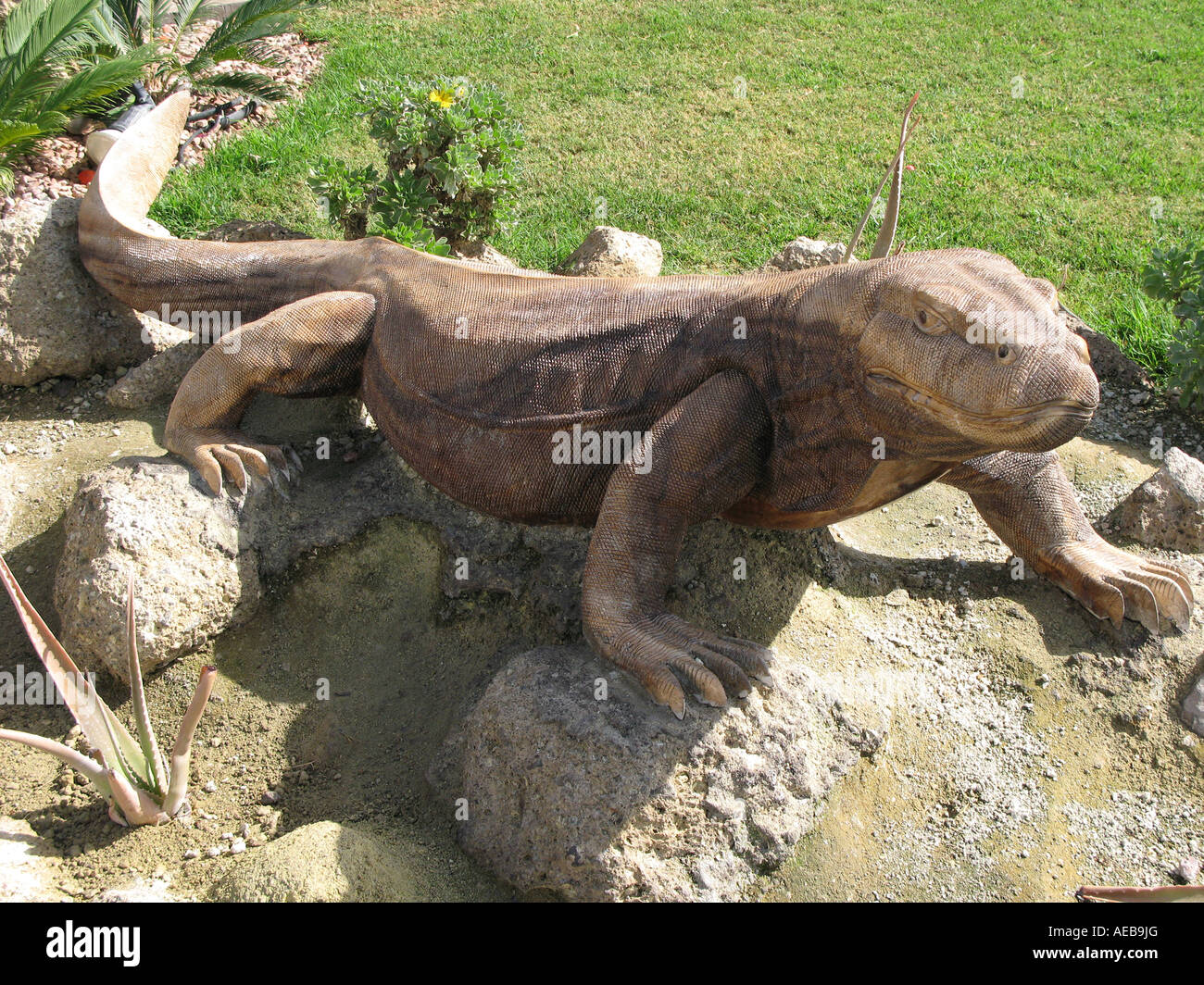 Komodo-Waran Varanus Komodoensis Waran Stockfotografie - Alamy