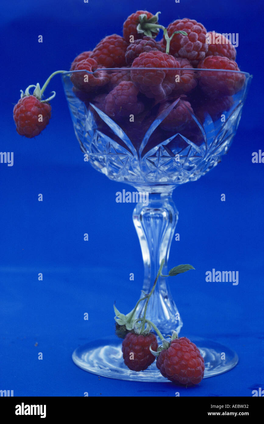 Blaue himbeere -Fotos und -Bildmaterial in hoher Auflösung – Alamy