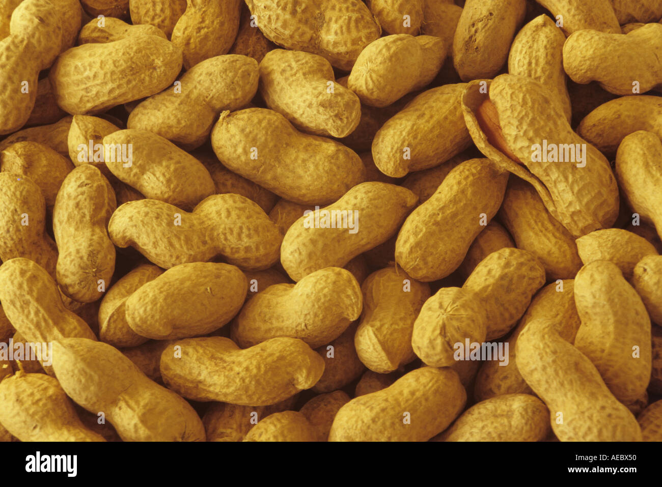 The peanuts -Fotos und -Bildmaterial in hoher Auflösung – Alamy