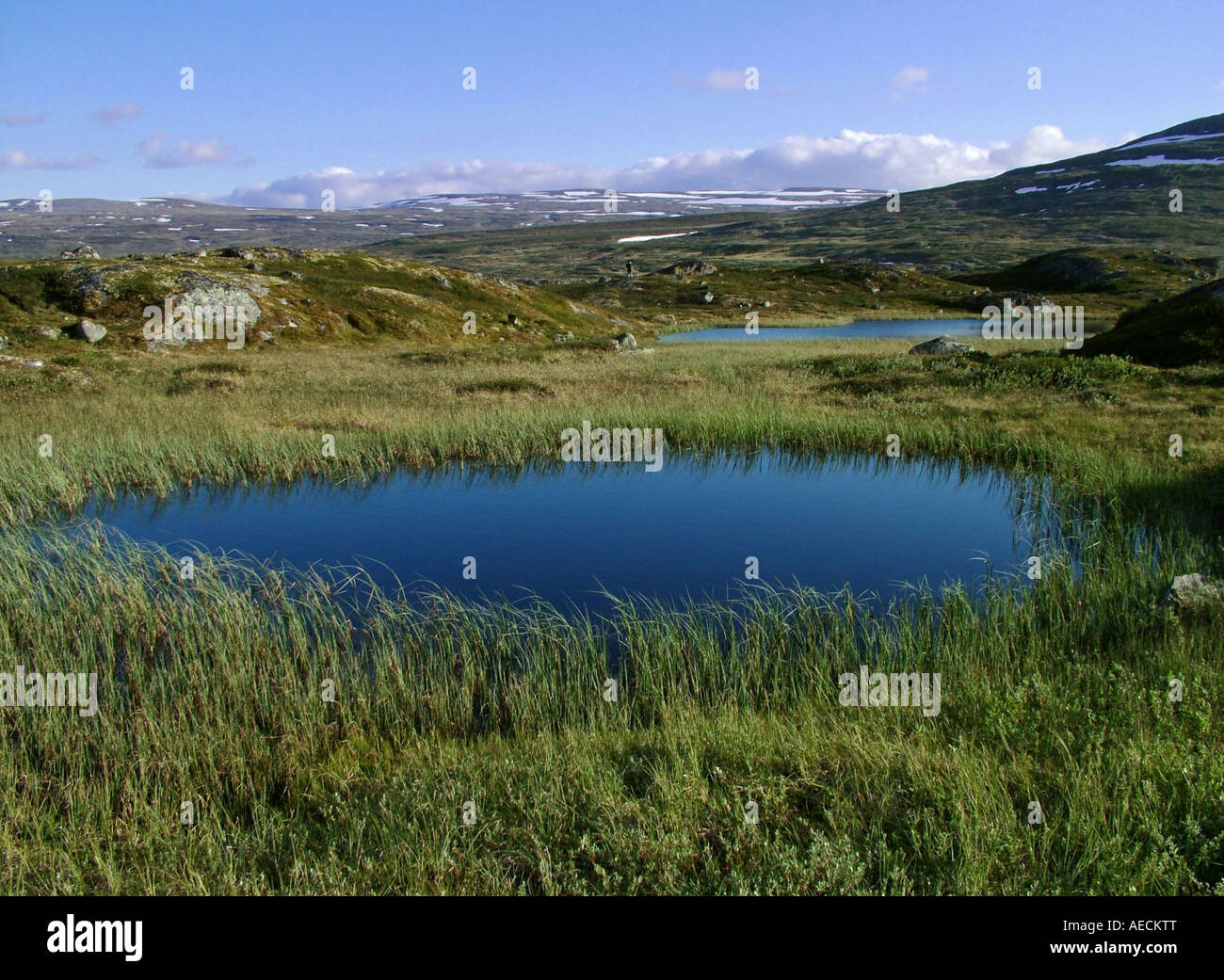 Seen in der Moore Landschaft der Hardangervidda, Norwegen ...