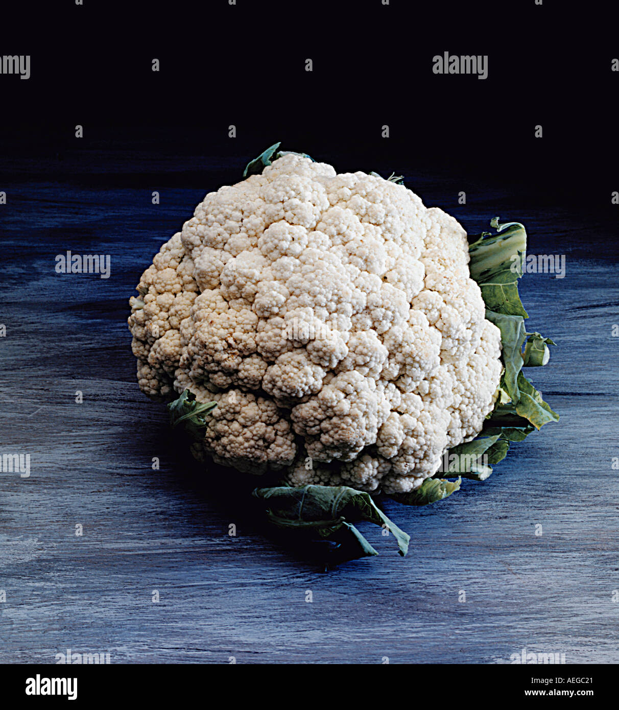 Kohl wie -Fotos und -Bildmaterial in hoher Auflösung – Alamy