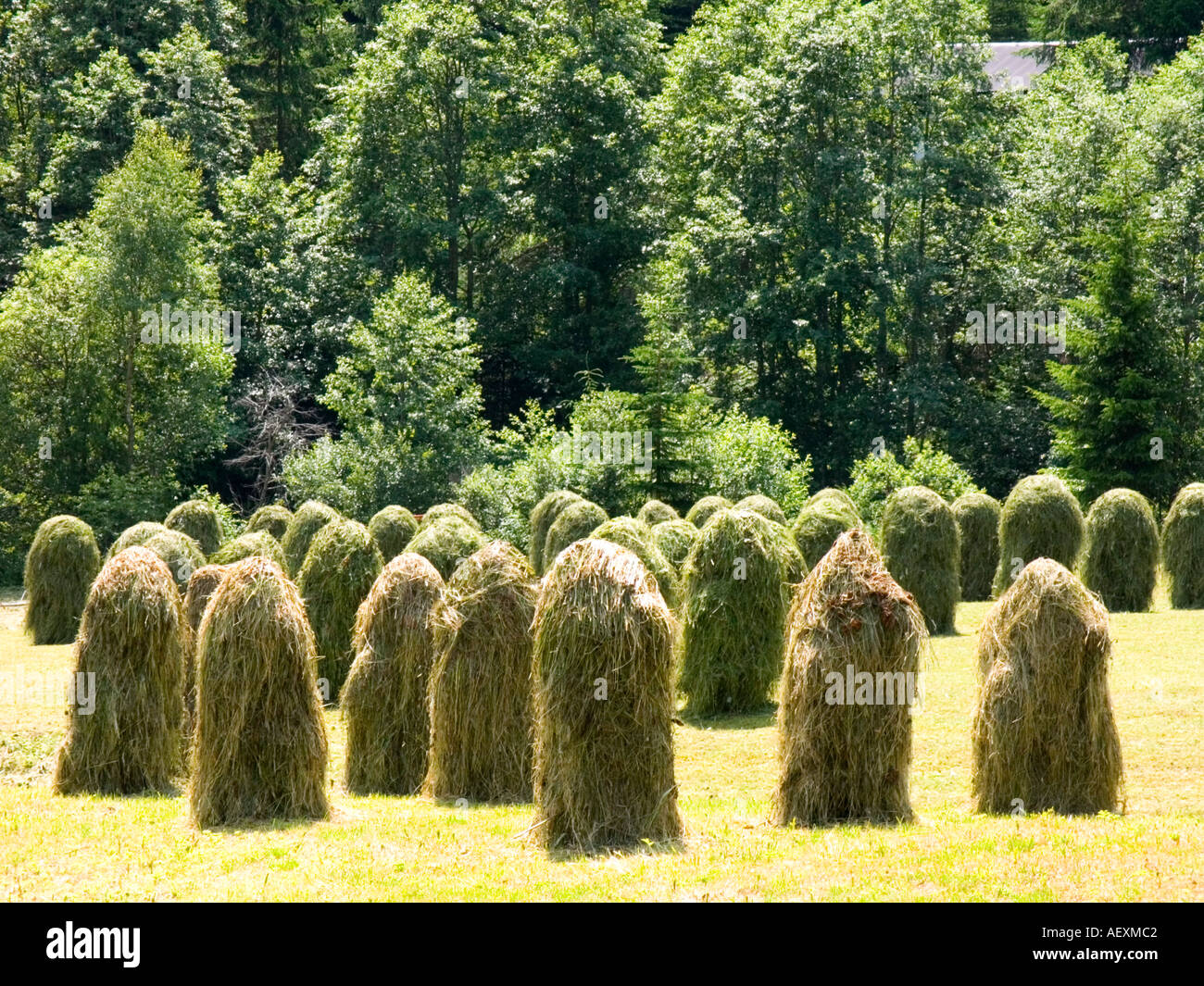 Sellrain Sellraintal Tal in Tirol Tirol Österreich EU Europa reisen ...