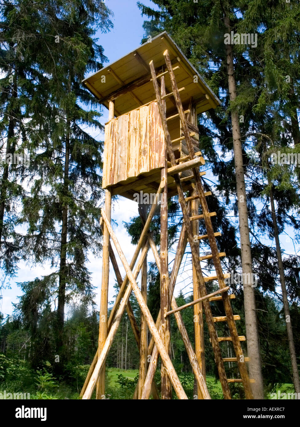 Forest hunting tower hut hunting -Fotos und -Bildmaterial in hoher ...