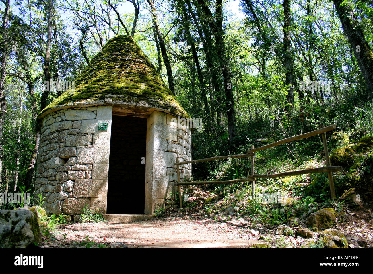 Hirten s baum -Fotos und -Bildmaterial in hoher Auflösung – Alamy