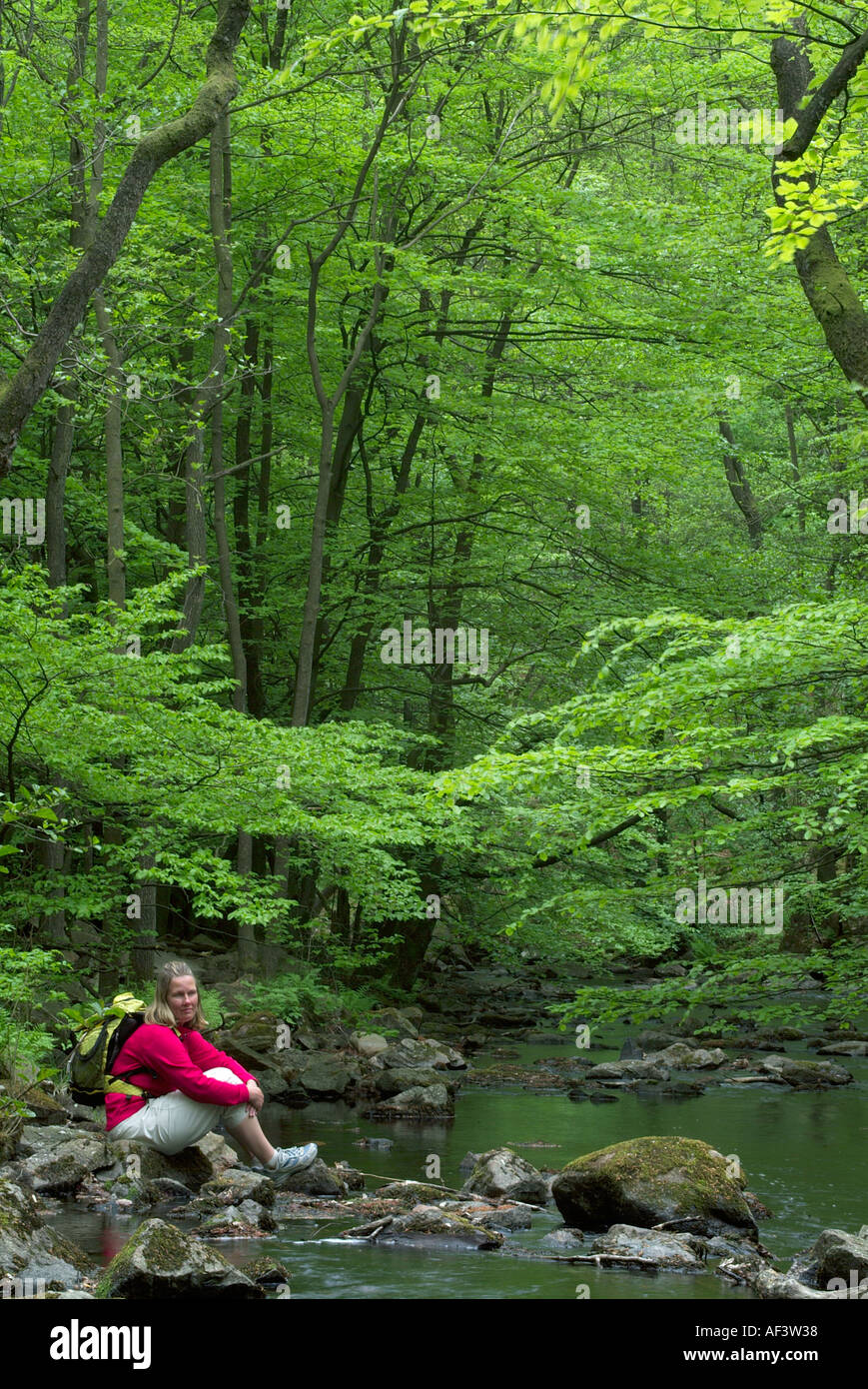 Mädchen sitzen im Wald Soderasen Nationalpark Skane Schweden ...