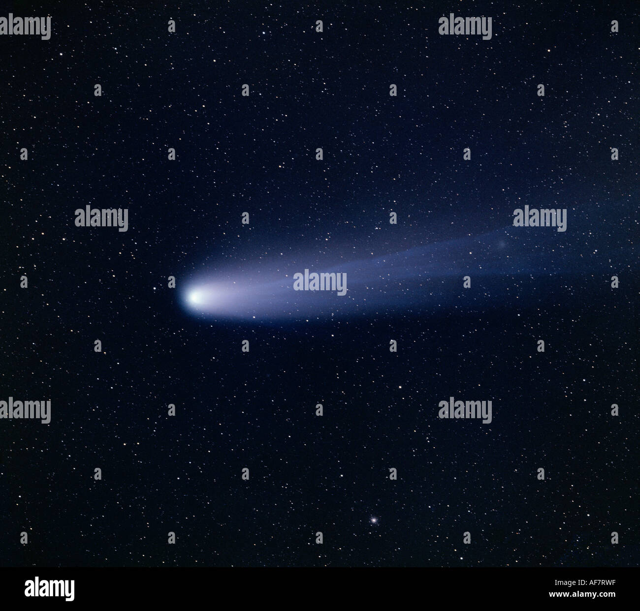 Comet halley -Fotos und -Bildmaterial in hoher Auflösung – Alamy