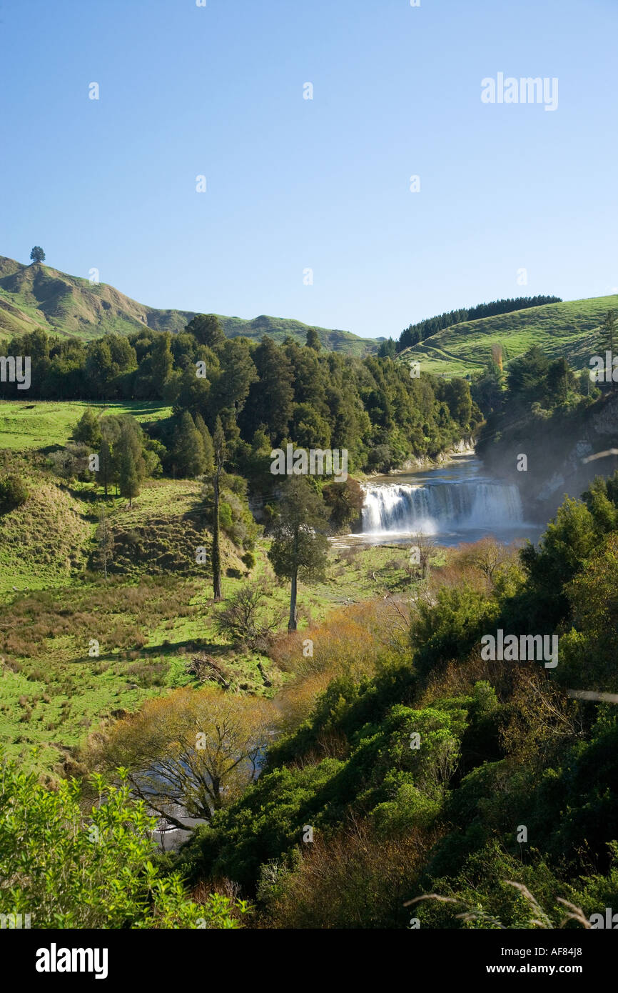 Der kakatahi -Fotos und -Bildmaterial in hoher Auflösung – Alamy
