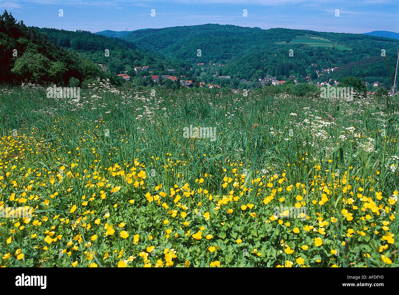 Lorsbachtal, Blick über Lorsbach, Straße nach Langenhain Taunus, Hessen ...
