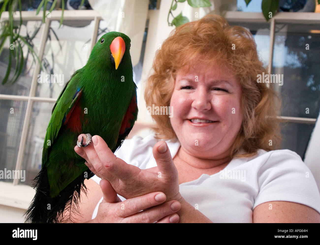 Dame mit papagei -Fotos und -Bildmaterial in hoher Auflösung – Alamy