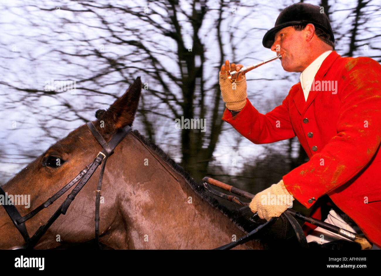 Jagdhorn jagdhorn -Fotos und -Bildmaterial in hoher Auflösung – Alamy
